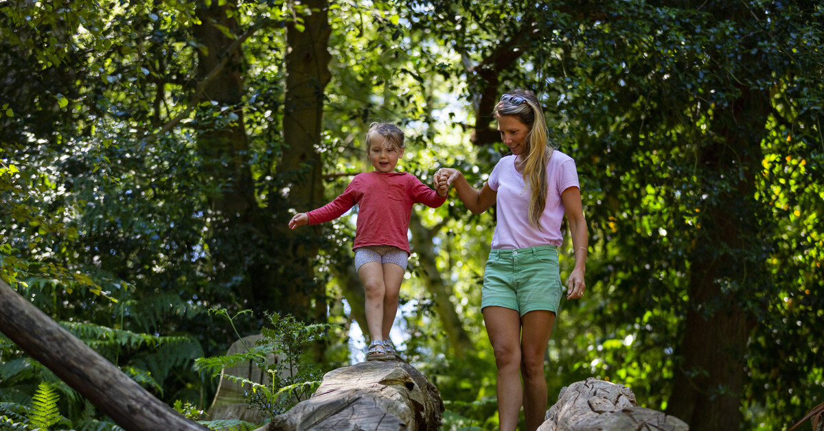 Five reasons to visit Watts Gallery this summer | Watts Gallery