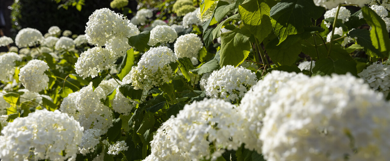 Reducing waste | Watts Gallery