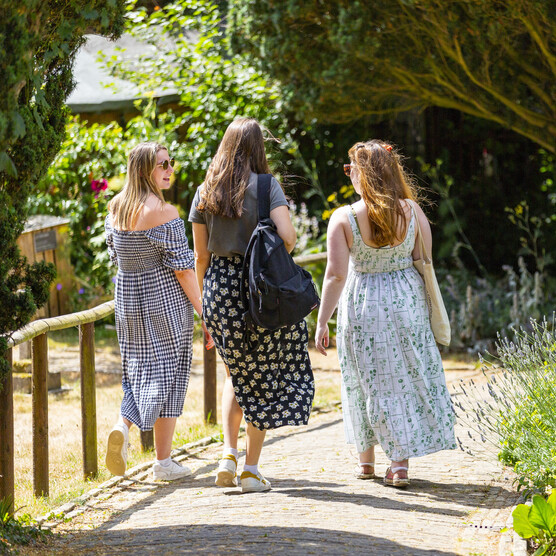 Surrey library cardholder open day | Watts Gallery