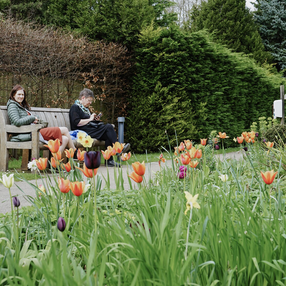 Visit Watts Gallery - Artists' Village | Watts Gallery