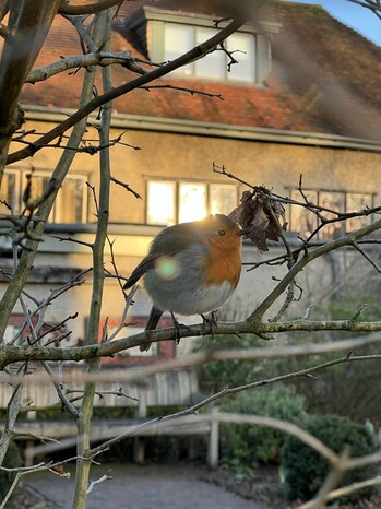 5 things to enjoy at Watts Gallery – Artists' Village this December ...