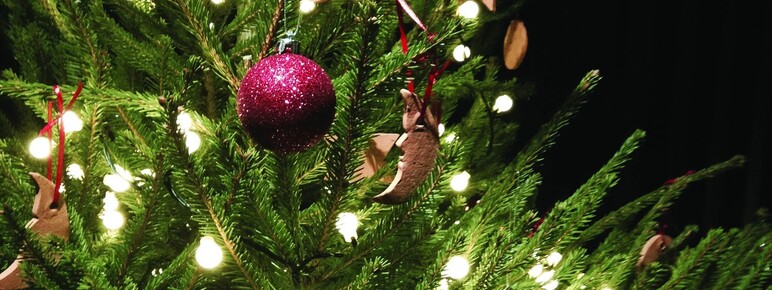 Christmas at Watts | Watts Gallery and Artists' Village